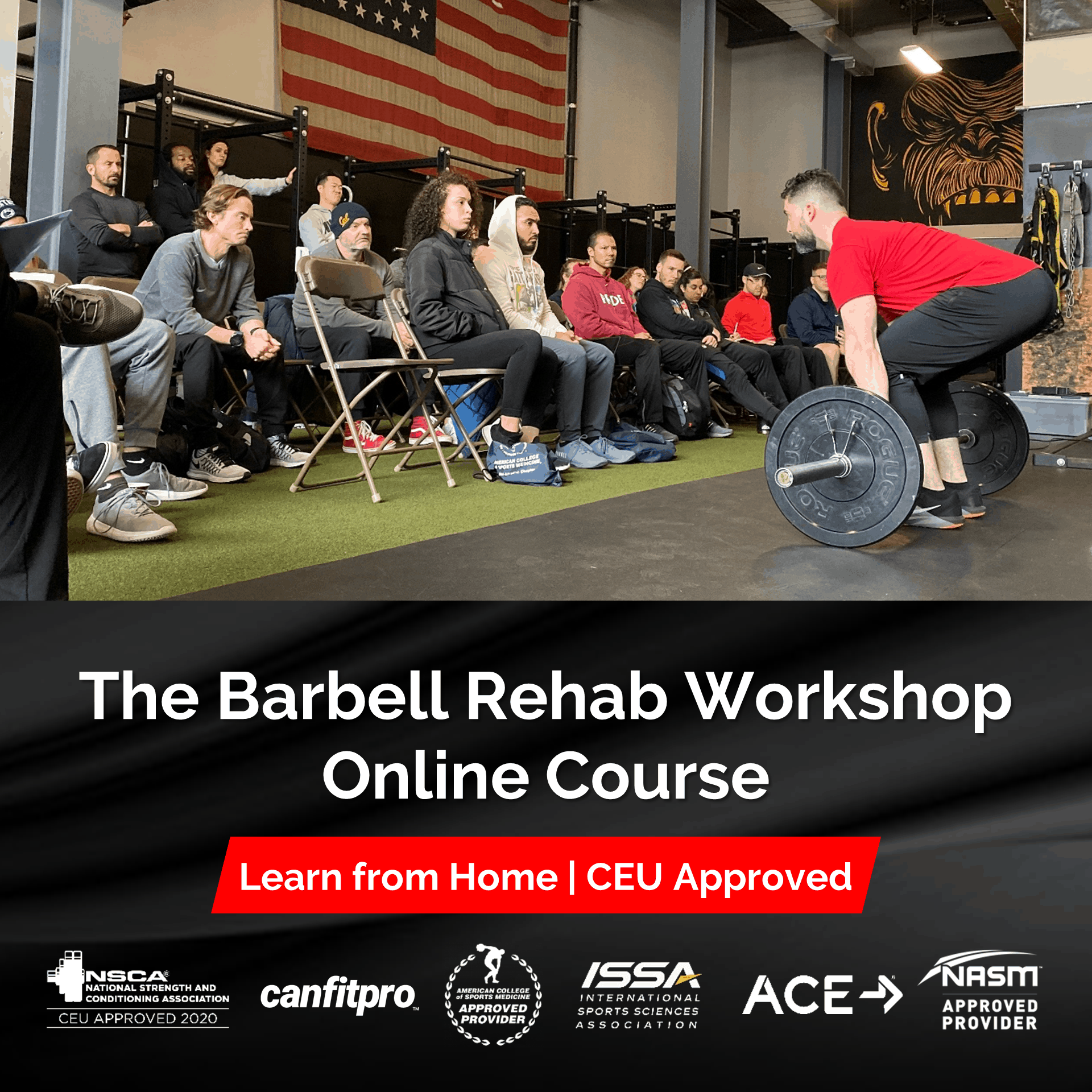 Barbell Rehab Workshop Online Course - Barbell Rehab