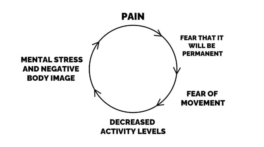 pain cycle - Barbell Rehab
