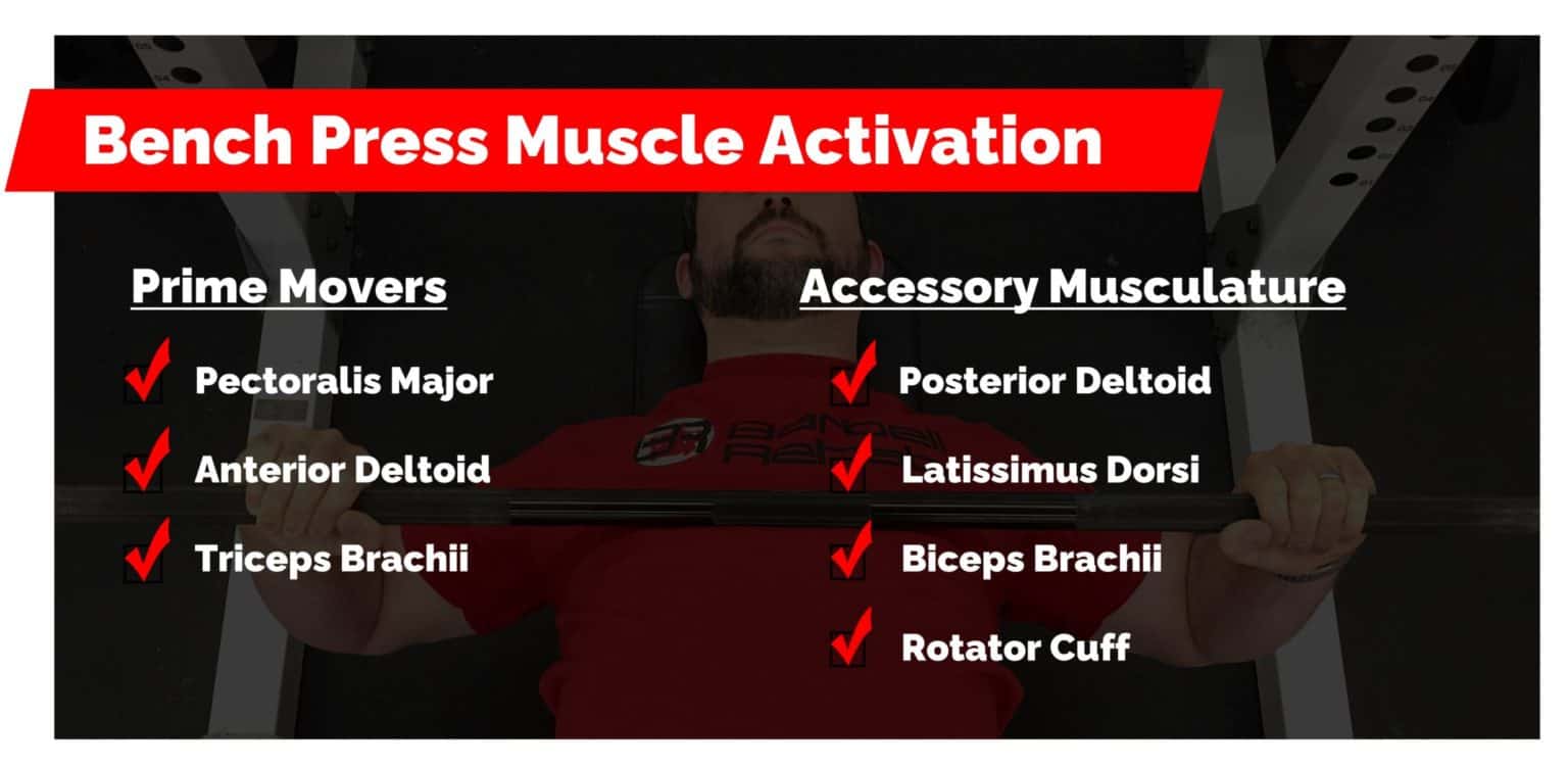 The Bench Press: Effects of Changing Grip Width and Incline Angle