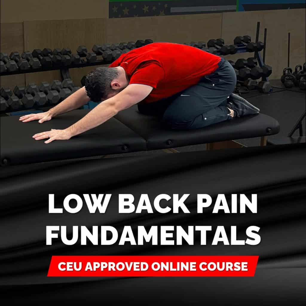 Low Back Pain Fundamentals | Online Course - Barbell Rehab